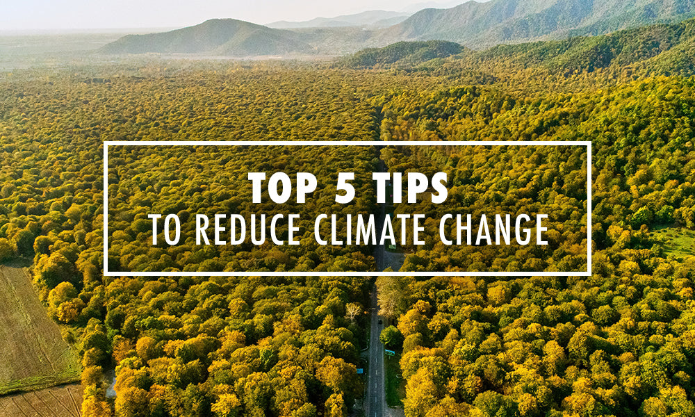 5 Tips To Reduce Climate Change Tentsile 5-tips-to-reduce-climate-change-tentsile